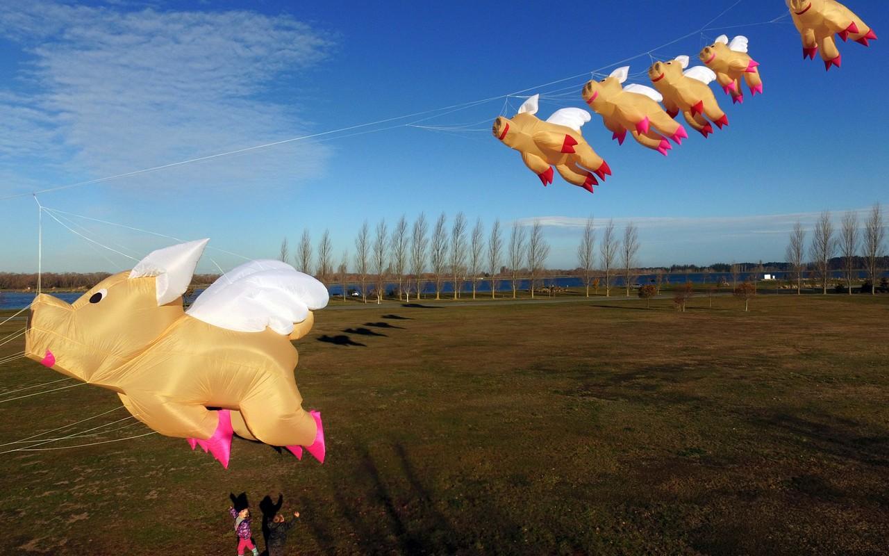 Pig With Wings - Peter Lynn Kites