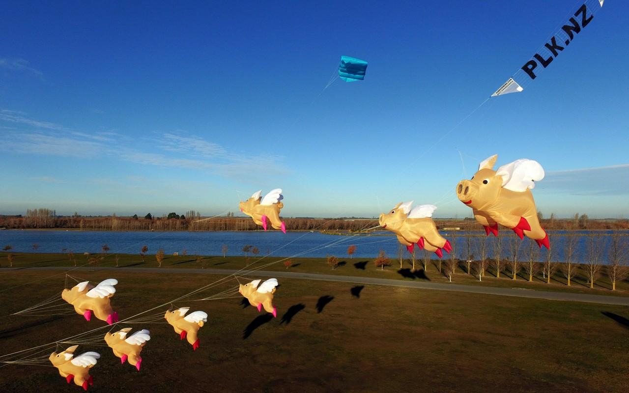 Pig With Wings - Peter Lynn Kites