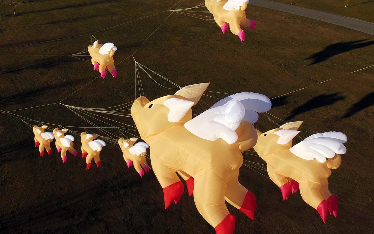 Pig With Wings - Peter Lynn Kites