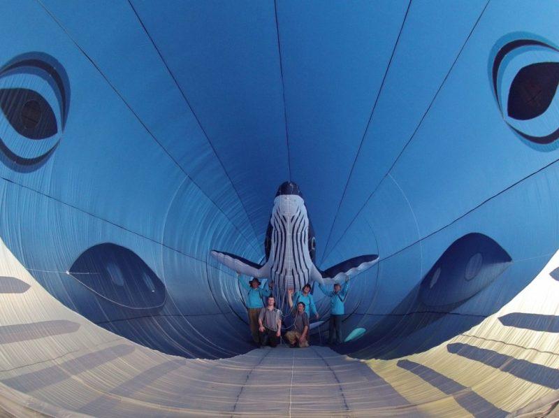 Inside the 30 meter long Blue Whale - Peter Lynn Kites