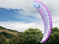 Home - Peter Lynn Kites