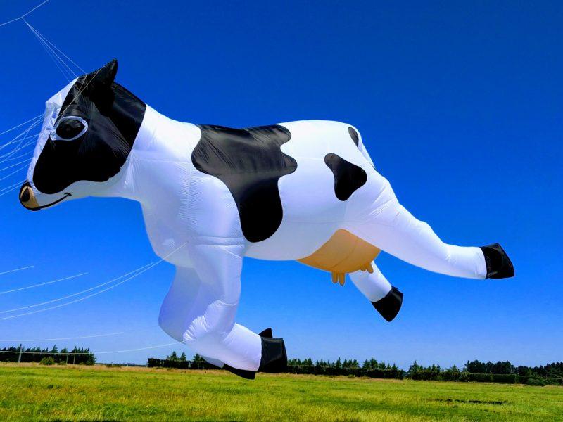 Kites - Peter Lynn Kites