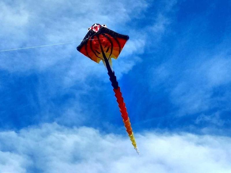 Kites - Peter Lynn Kites