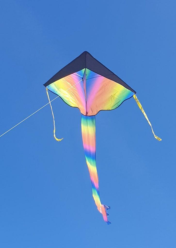 Rainbow Delta - Peter Lynn Kites