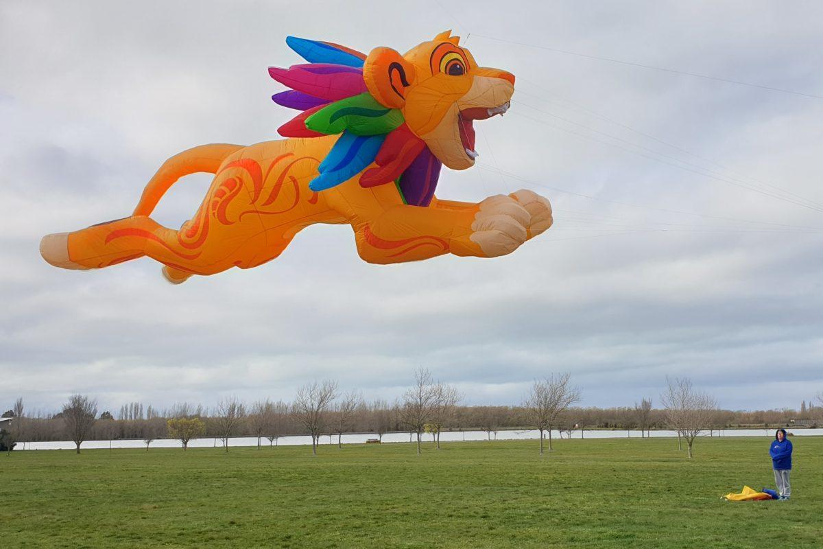 WALT DISNEY WORLD 50TH ANNIVERSARY - DISNEY KITE TAILS - Peter Lynn Kites