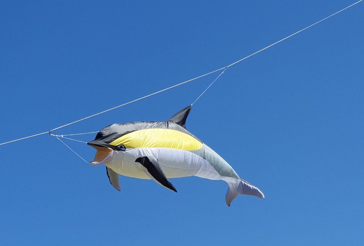 DIY Show Kite Kit - Freddy's Dolphin - Peter Lynn Kites