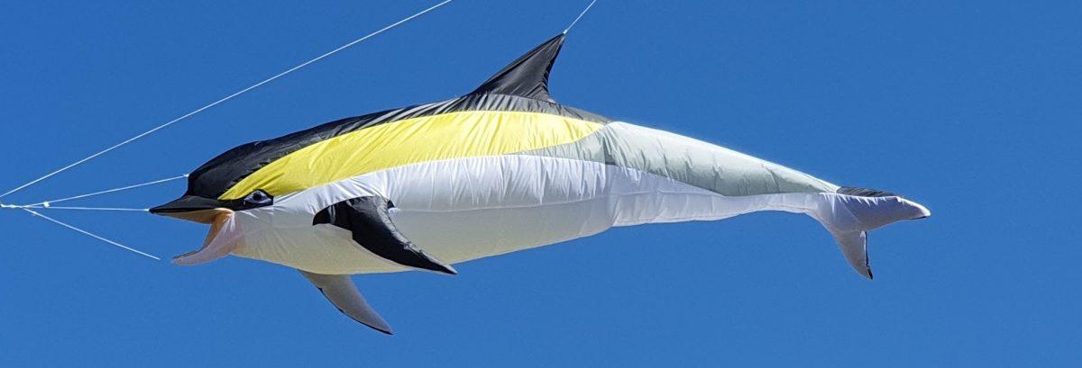 DIY Show Kite Kit - Freddy's Dolphin - Peter Lynn Kites