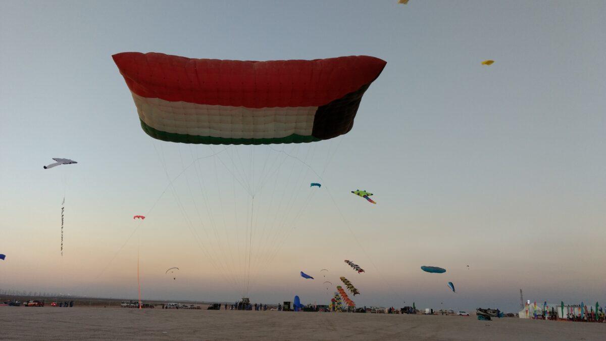 Celebrating 50 Years of PETER LYNN KITES - Peter Lynn Kites