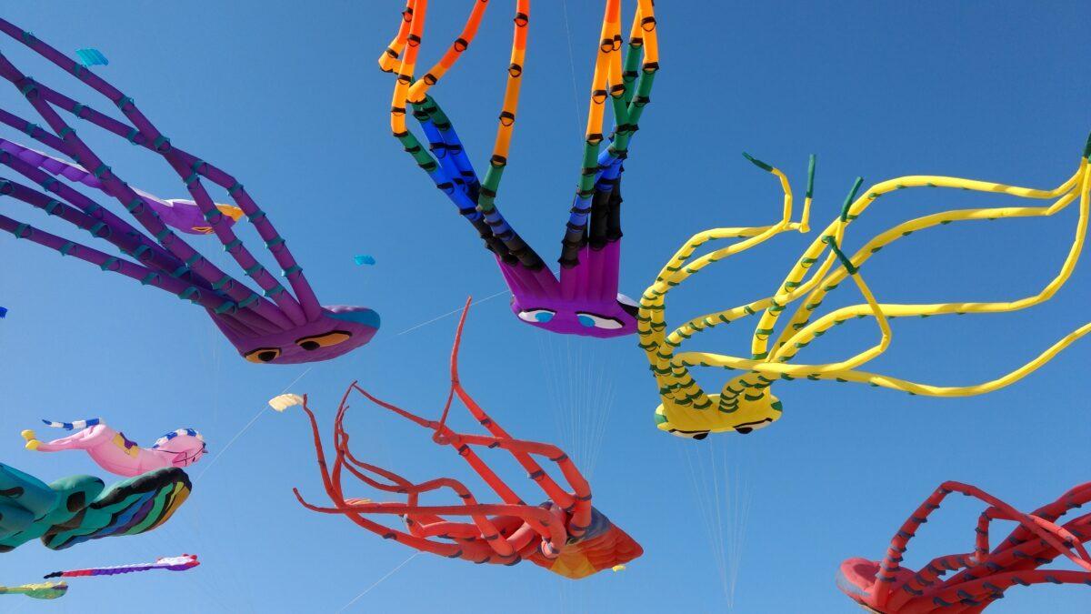 Celebrating 50 Years of PETER LYNN KITES - Peter Lynn Kites
