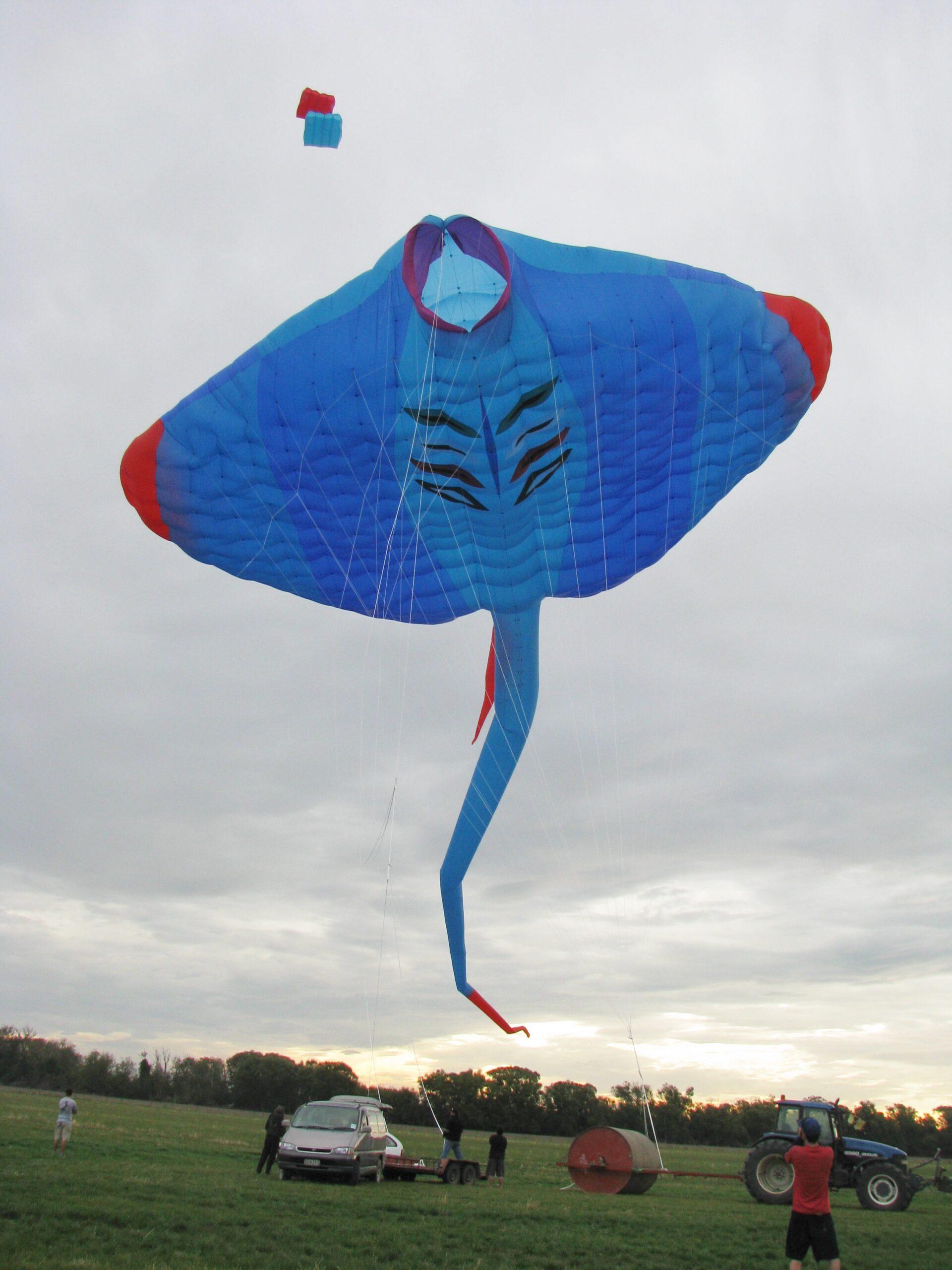 Celebrating 50 Years of PETER LYNN KITES - Peter Lynn Kites