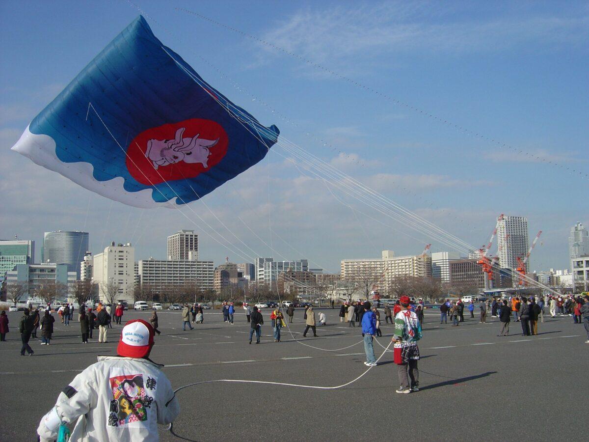 Celebrating 50 Years of PETER LYNN KITES - Peter Lynn Kites