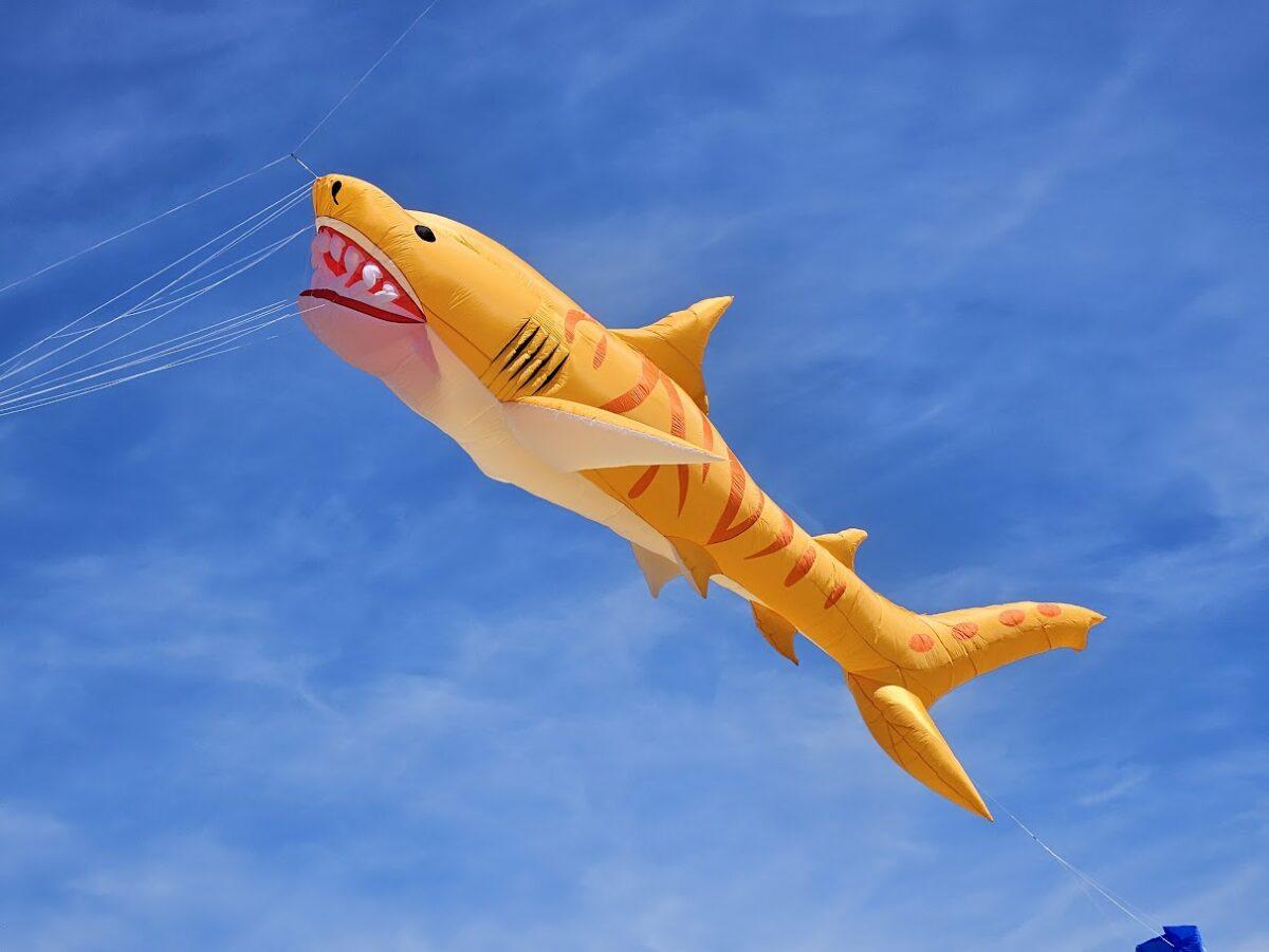 Tiger Shark - Peter Lynn Kites
