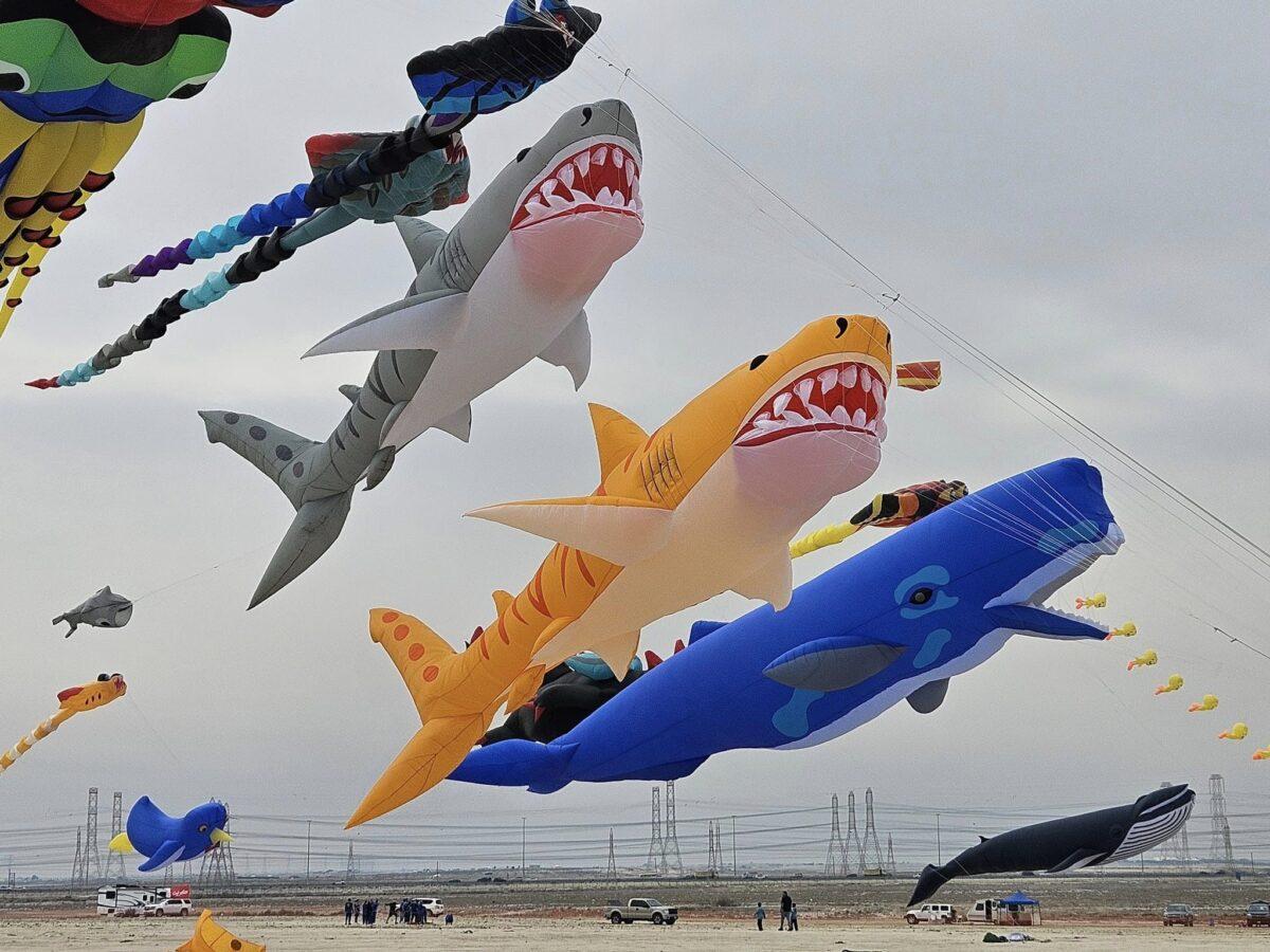 Tiger Shark - Peter Lynn Kites