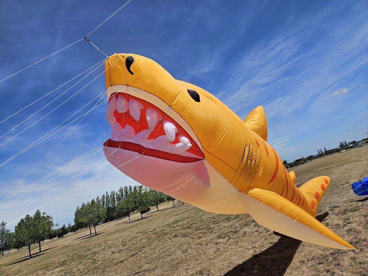 Tiger Shark - Peter Lynn Kites